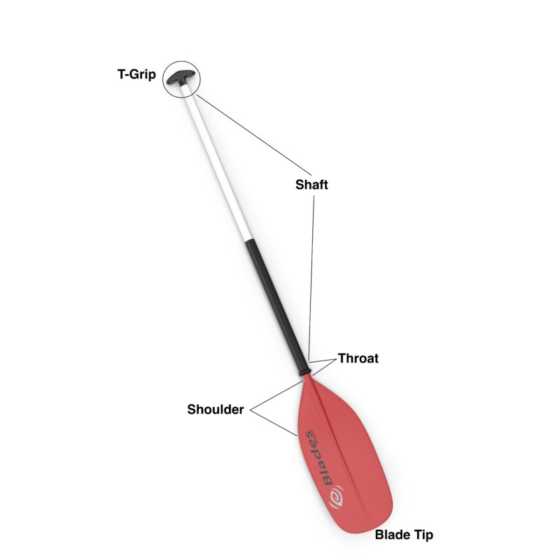 Essential Paddle Grips Every River Floater Should Know – Lazy Days