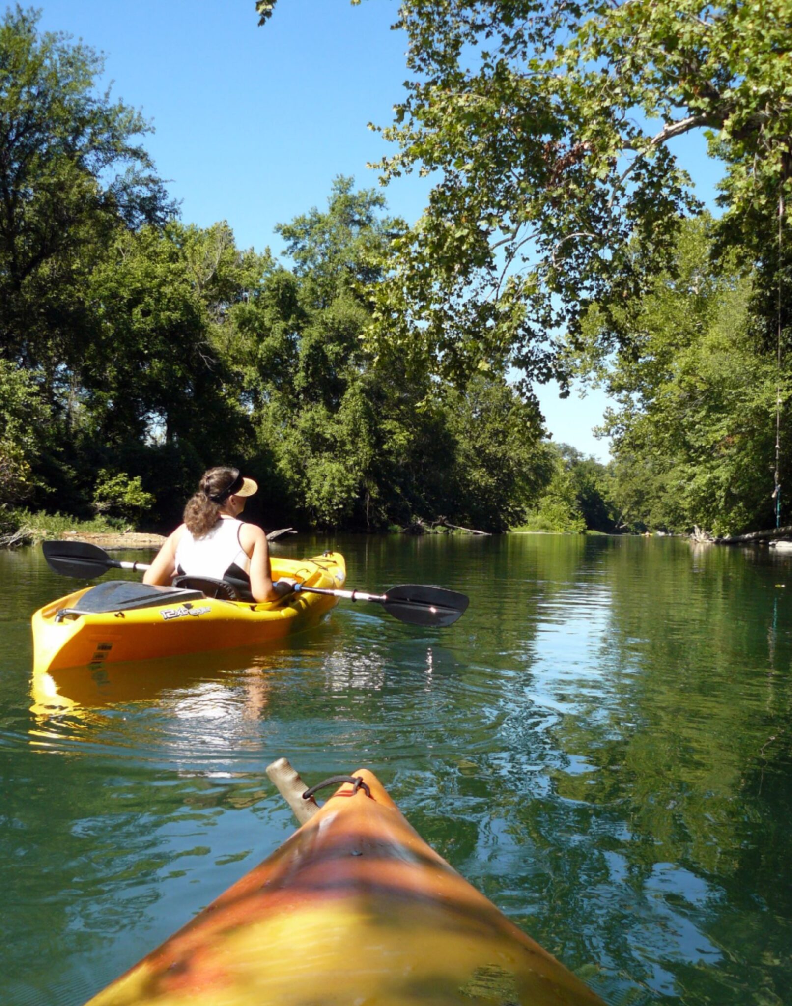Discover the Best River Rafting Rentals for Floating the Elk River in ...