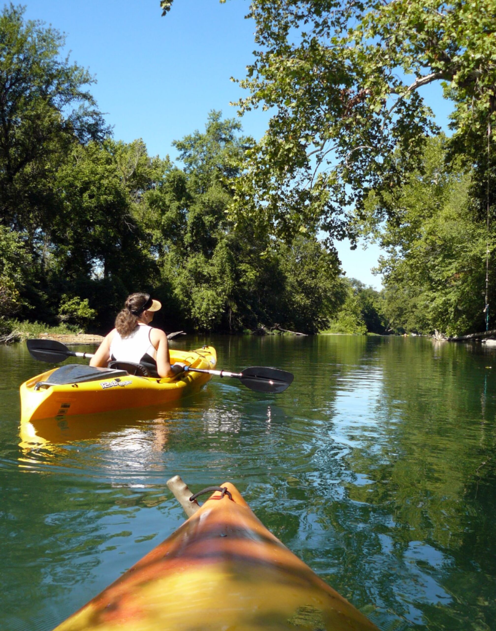 Discover the Best River Rafting Rentals for Floating the Elk River in ...
